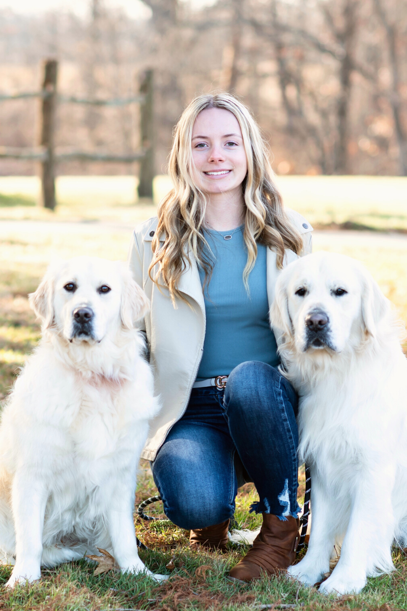 Our Golden Retrievers - Gold Rush Retrievers | Golden Retrievers ...